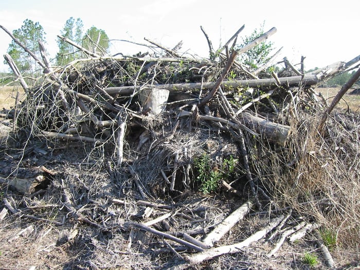 How Much Timber Does the US Harvest, and How is it Used?