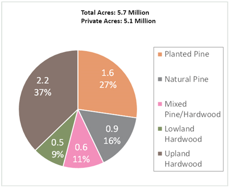 Mastering Feedstock Management is Key for Bioenergy Project Success