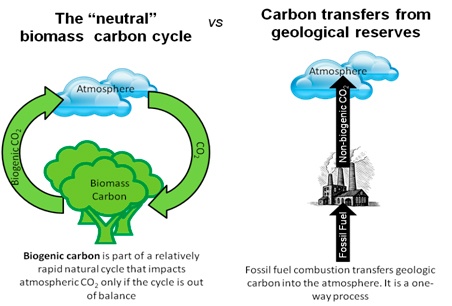 Carbon Emissions