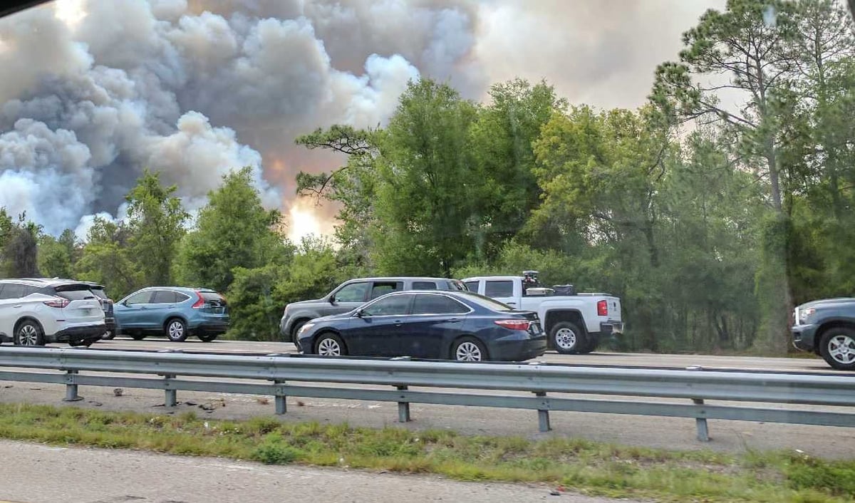 Top 10 States Where Wildfires Cause the Most Damage