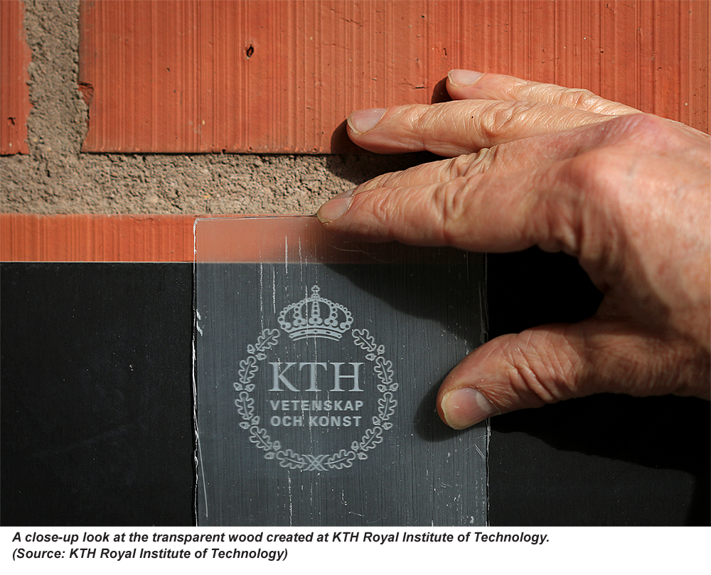 Clear as Wood? Swedes Develop Transparent Wood Material for Solar ...