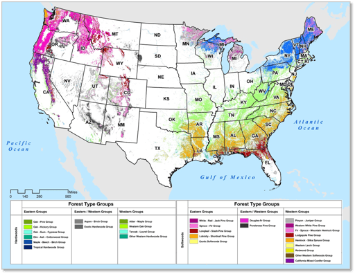 NAFO Report Highlights Part 1: U.S. Timberland Ownership and Classes