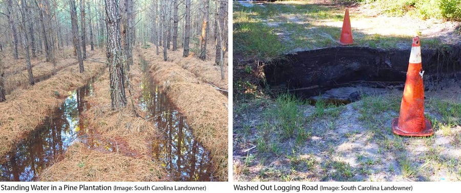Precipitation Event Impacts: Shifts in Wood Supply & Procurement Patterns