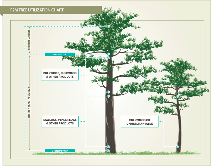 Forest Inventory Utilization