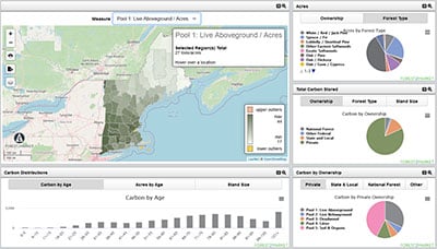 Timberland Management | ResourceWise Business Intelligence Solutions