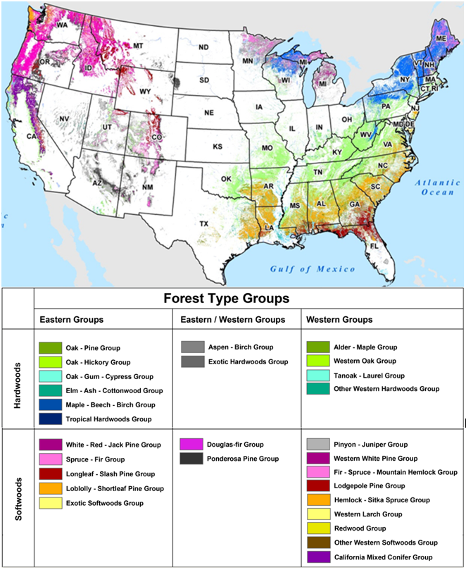 New Report Details Regional Timberland Ownership and Class Profiles