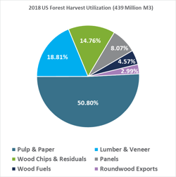 How Much Timber Does the US Harvest, and How is it Used?