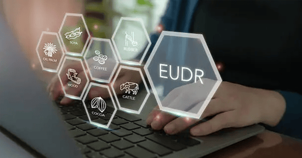 ResourceWise Blog (2)