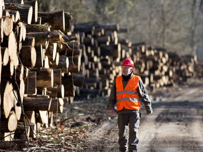 Forest Products Pricing, Analytics & Strategic Consulting | ResourceWise