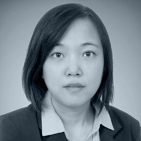 Sunny Zhang, Senior Consultant - Tecnon Orbichem
