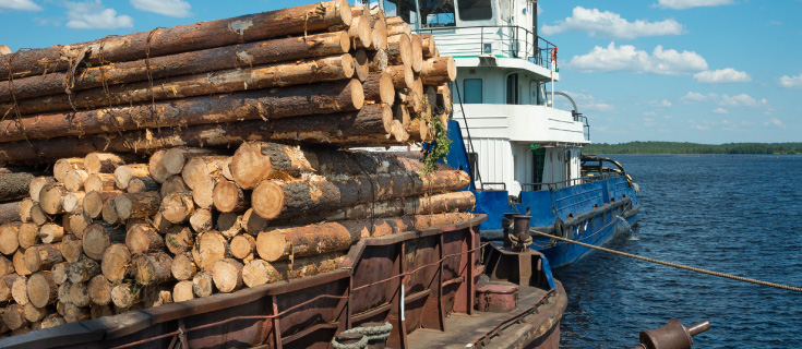 Lean Manufacturing: Wood Supply Chain | Forest2Market