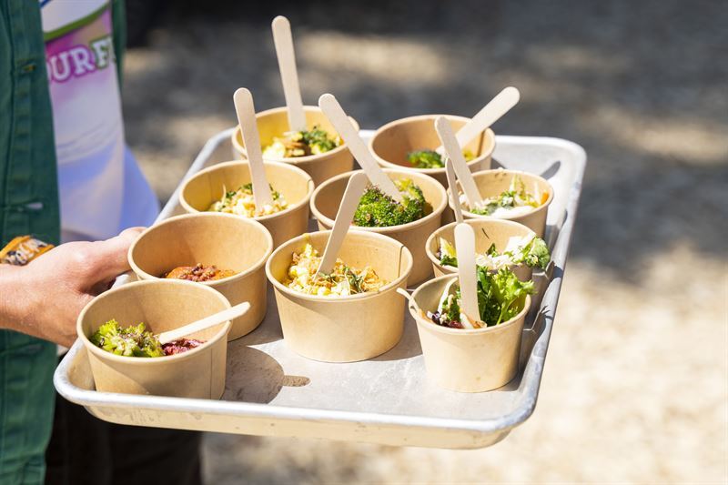 Innovations in Sustainable Packaging: How the Pulp and Paper Industry ...