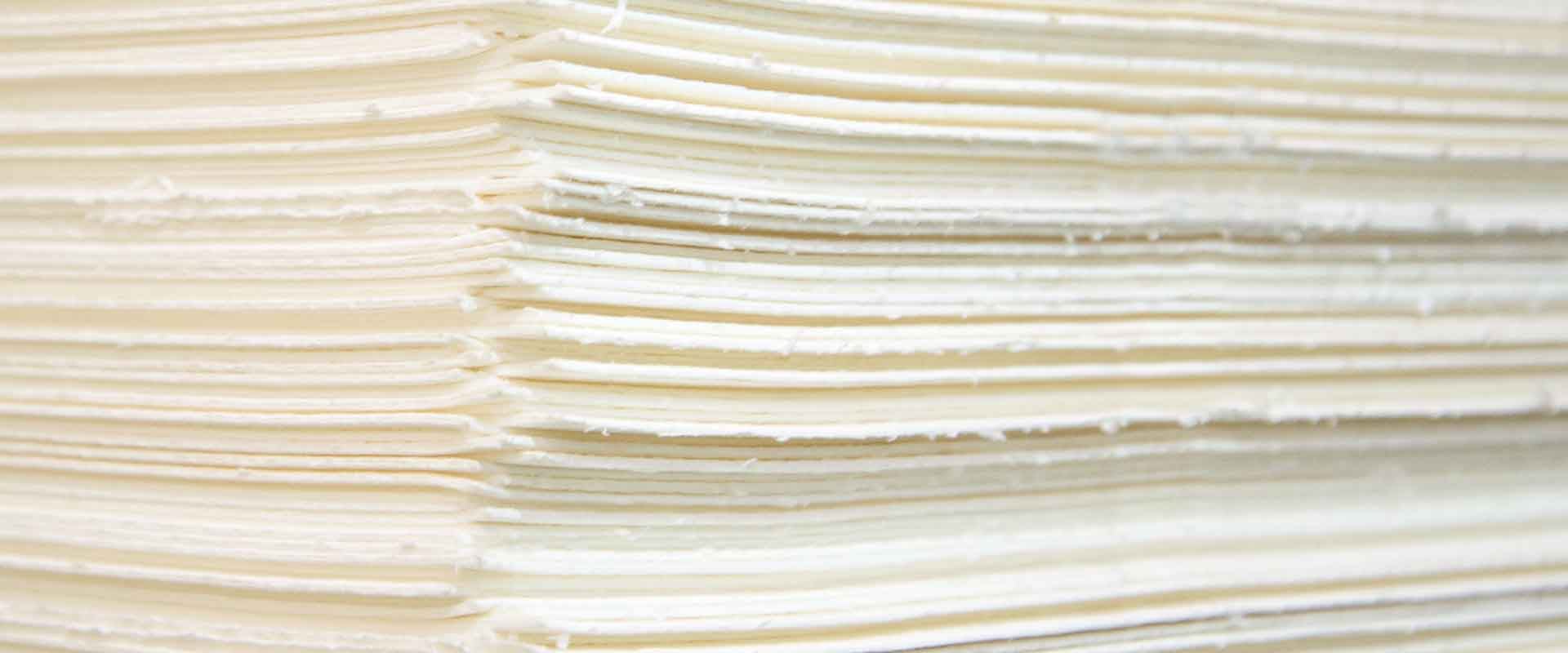 Fisher International: Empowering Pulp & Paper Strategy Since 1985