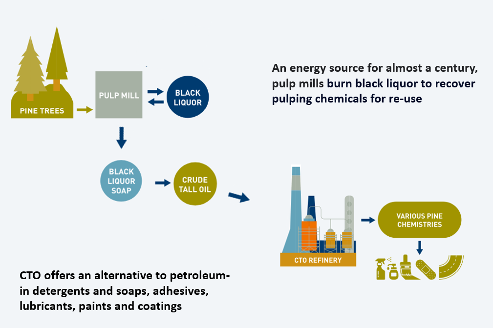 Oleochemicals, Renewable Resources from Nature: An Introduction