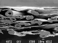 A Technical Look at Pulp & Paper Fiber