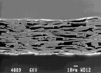 A Technical Look at Pulp & Paper Fiber