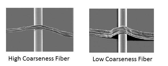 A Technical Look at Pulp & Paper Fiber