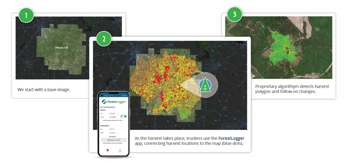 Navigating the EUDR Compliance Delay: Steps Forest Product ...