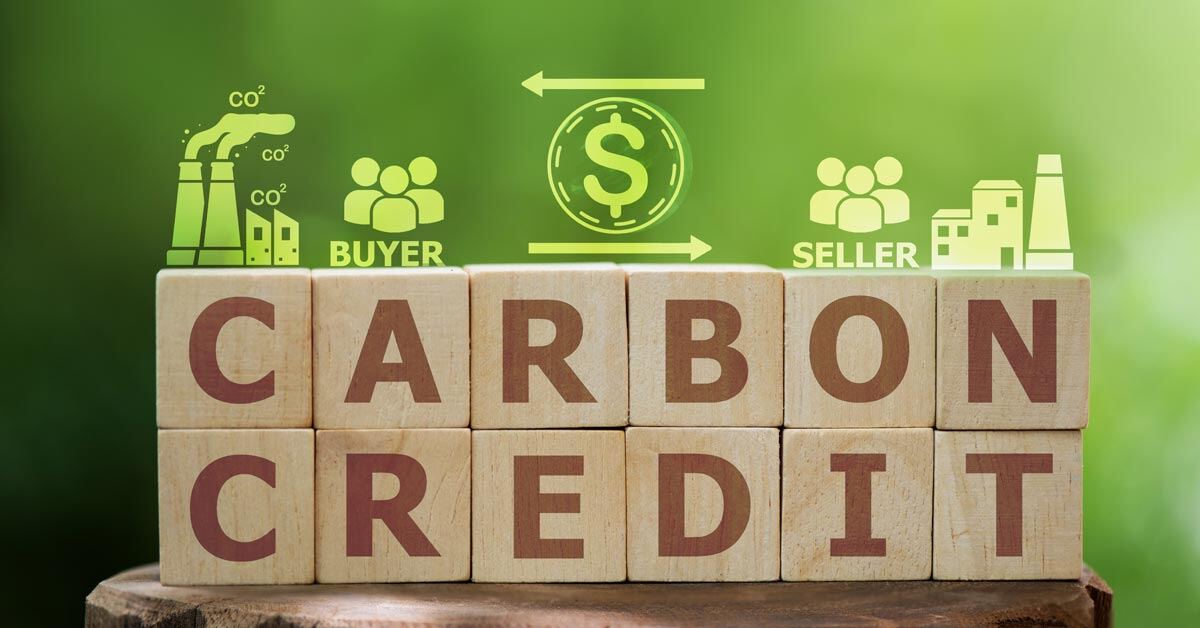 US Sets Guidelines for Voluntary Carbon Markets, Carbon Credits