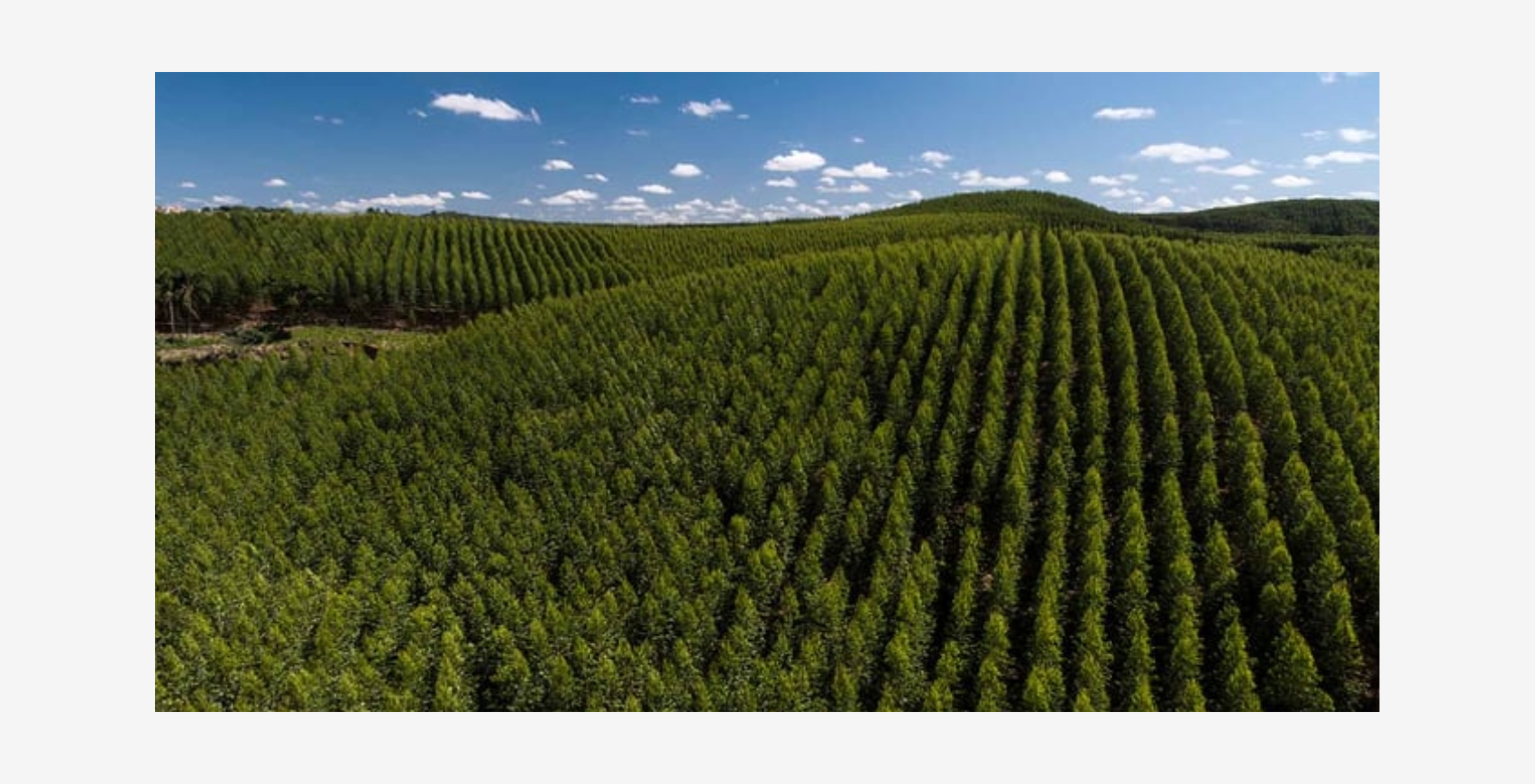 About Forest2Market | ResourceWise