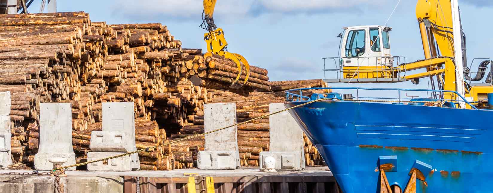 Market Insights | Softwood Lumber Exports | Feb 2024