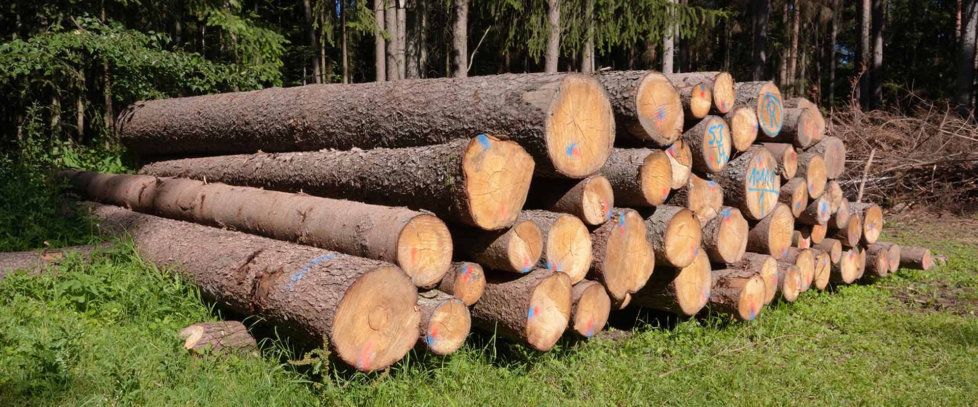 WoodMarket Prices, a Global Price and Trade Platform - Resourcewise.com