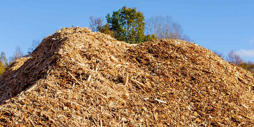 Webinar: Navigating RFS-2 Compliance and Strategies for Biofuel Success