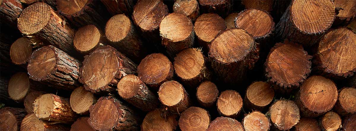 About Wood Resources International | ResourceWise